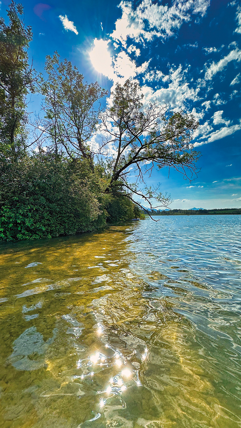 Camping Bannwaldsee | Campingplatz in Bayern